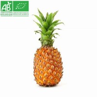 Ananas bio /pièce | Produit bio | Léopold